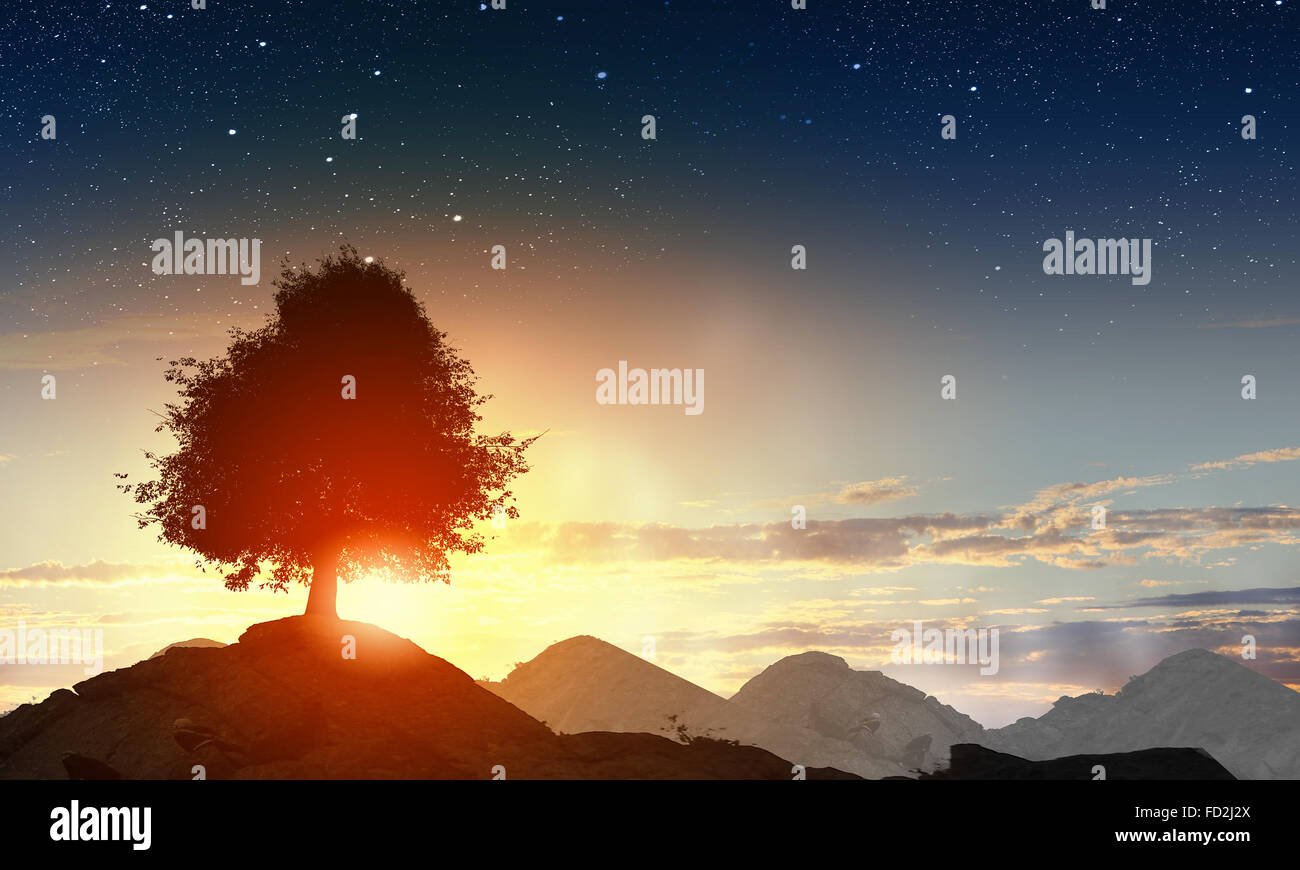 Natural scene with silhouette of tree against sunset light Stock Photo ...