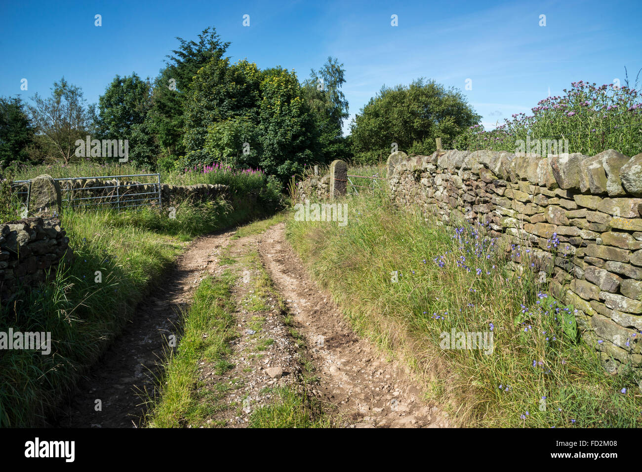 English farm scene hi-res stock photography and images - Alamy