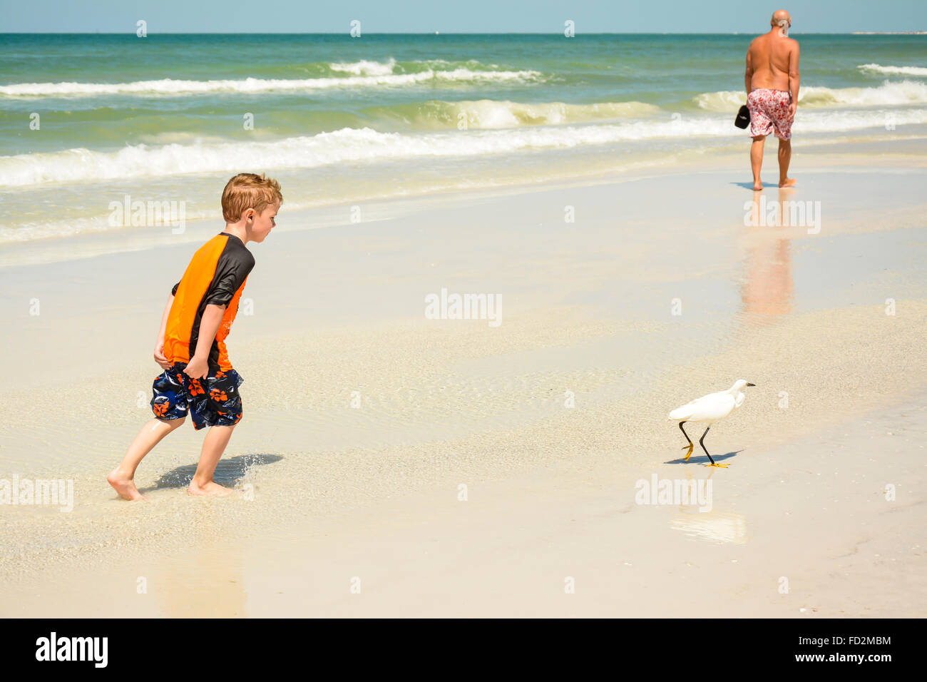 Boy chasing bird hi-res stock photography and images - Alamy