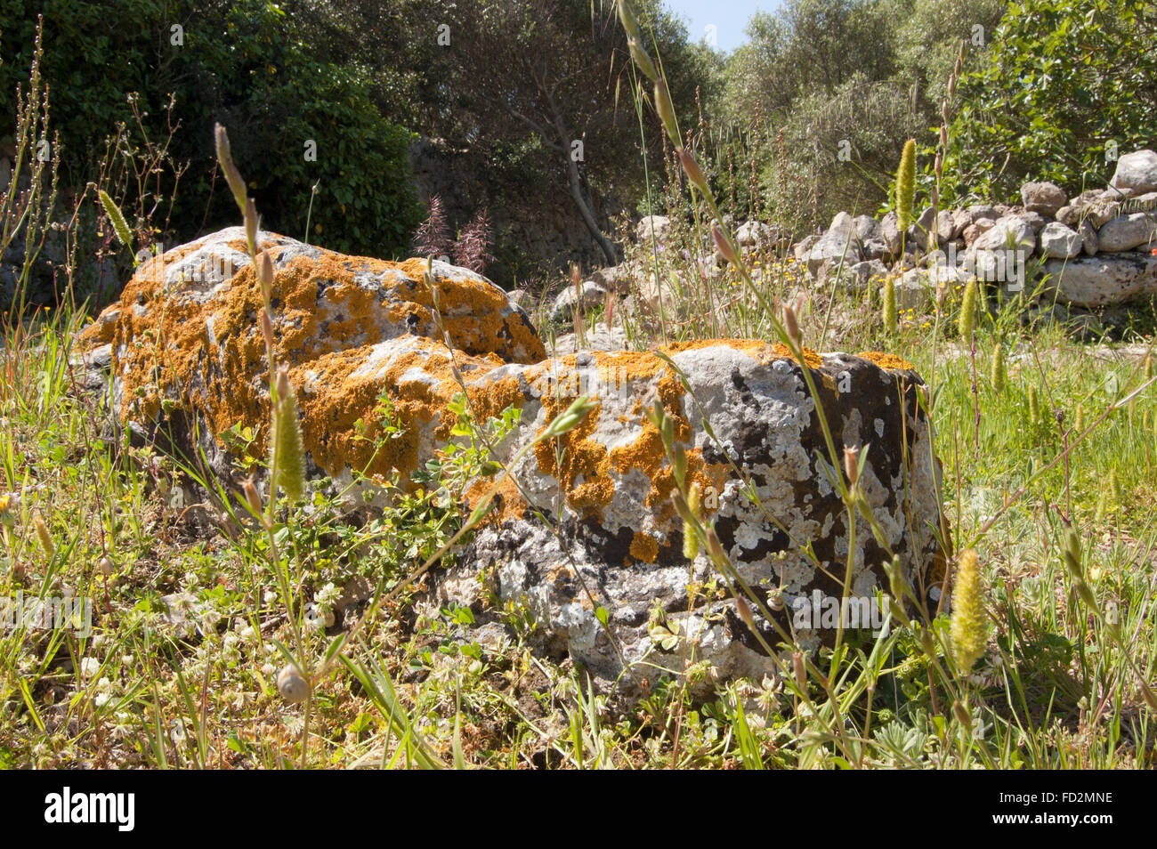 Taula de Trepucó, an enigmatic prehistoric monument on Menorca in the ...