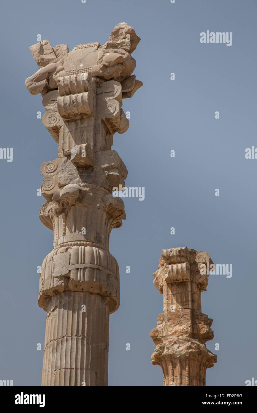 columns at the ancient Achaemenid Empire capital of Persepolis, Iran ...