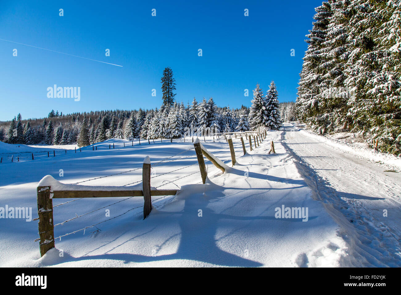 Winter, snowy landscape in the Sauerland area, Germany Stock Photo - Alamy