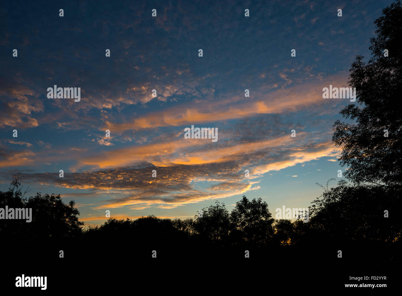 A beautiful september sunset with high wispy clouds catching the last ...