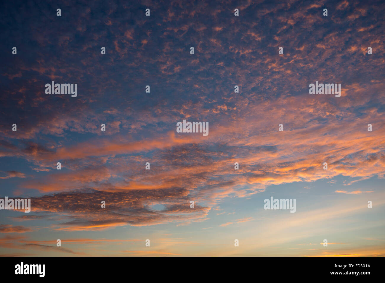 A beautiful september sunset with high wispy clouds catching the last ...