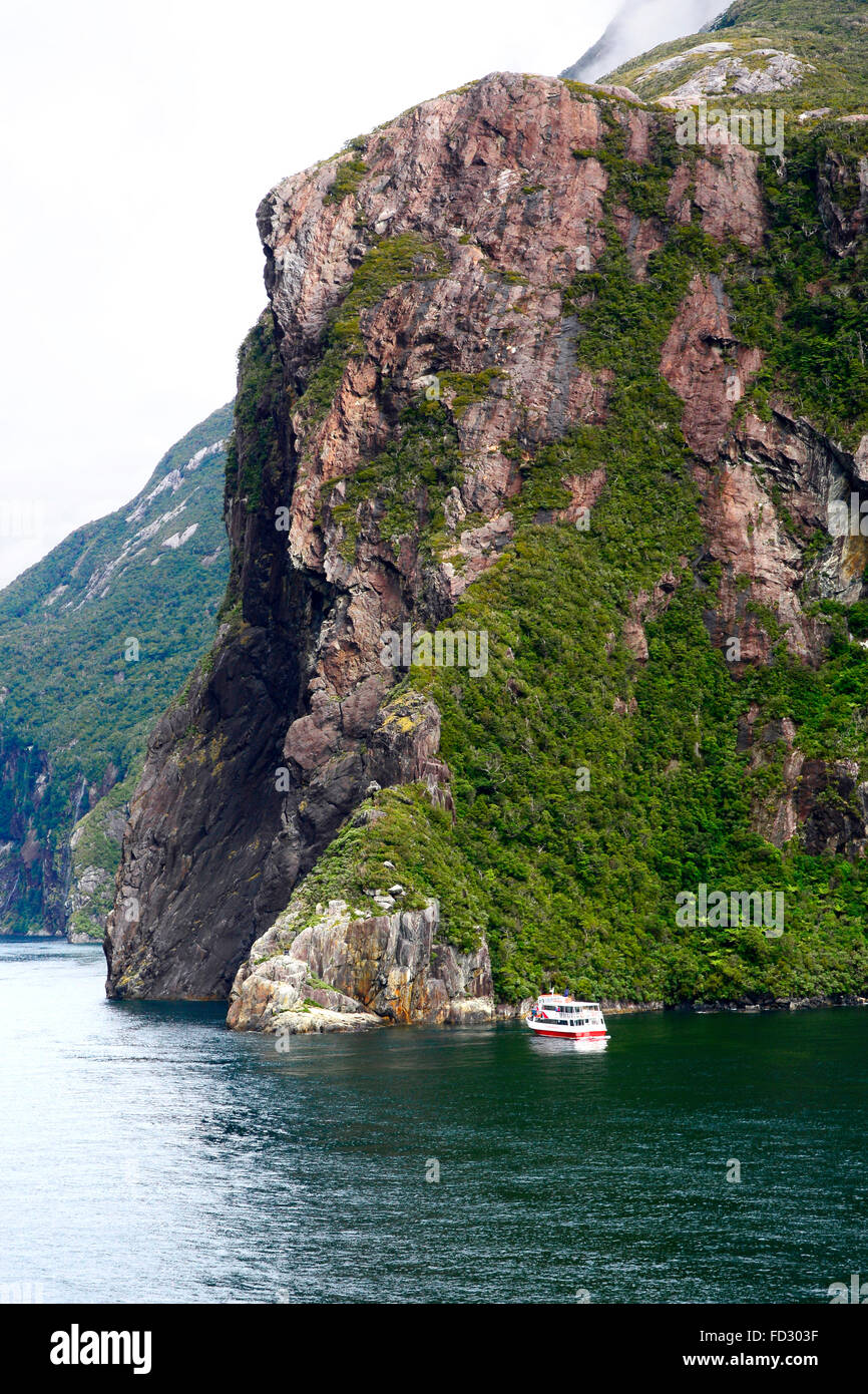 Nz fjordland hi-res stock photography and images - Alamy