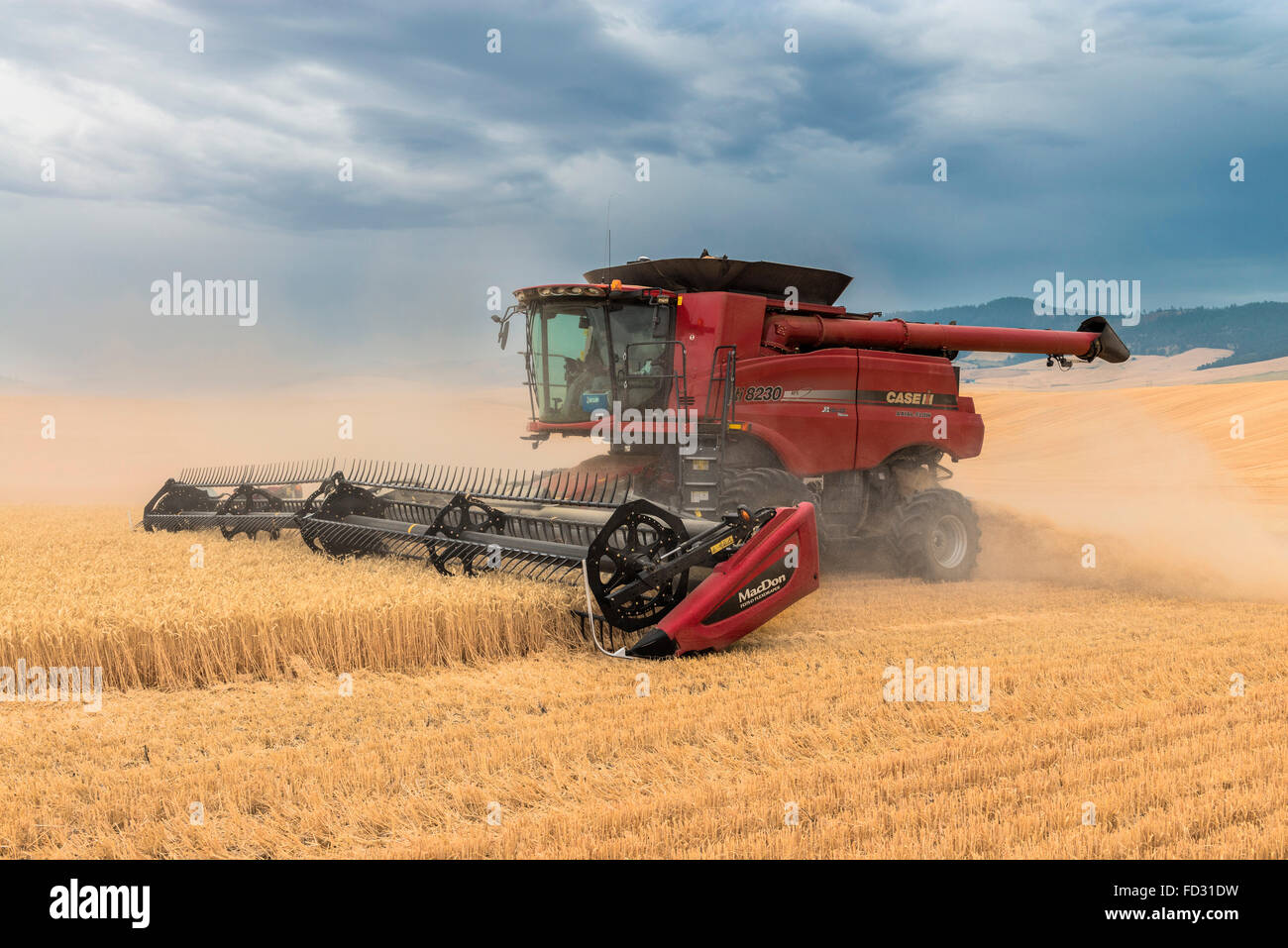 A Case combin harvesting wheat in the Palouse region of Washington ...