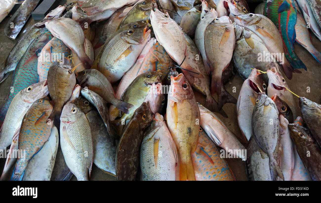 fresh fish on tropical market in victoria Stock Photo - Alamy