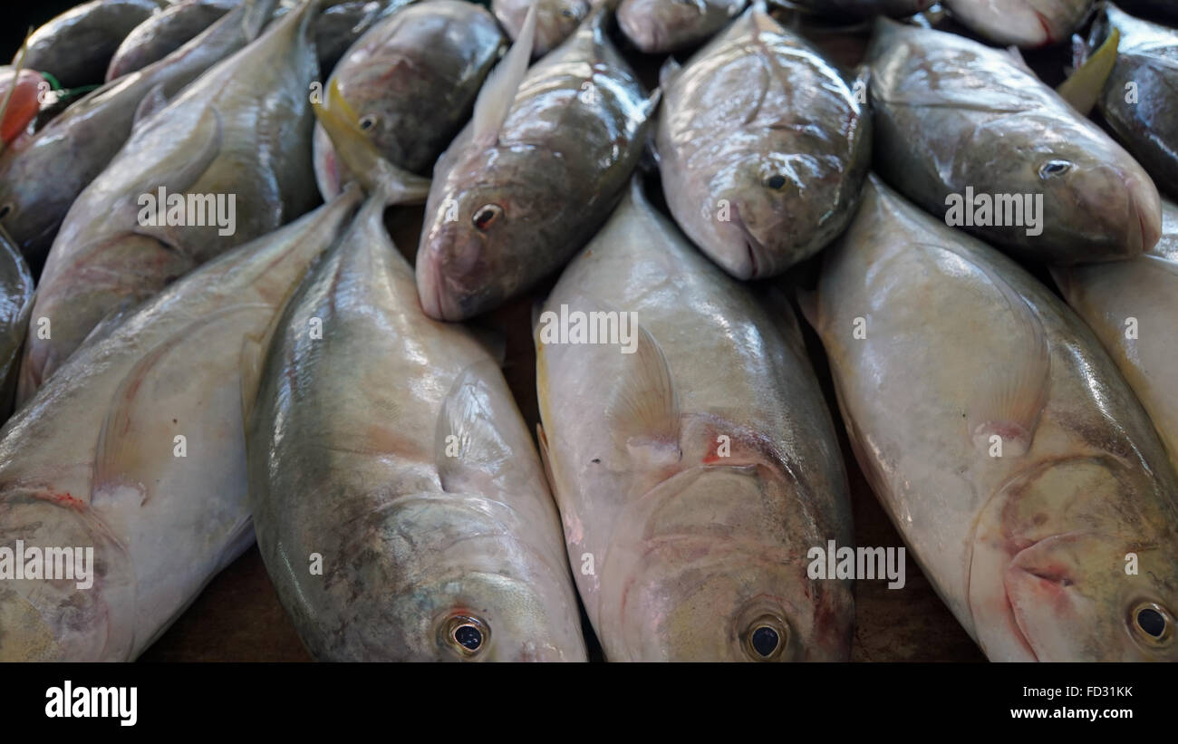 Victoria fish market mahe island hi-res stock photography and images ...