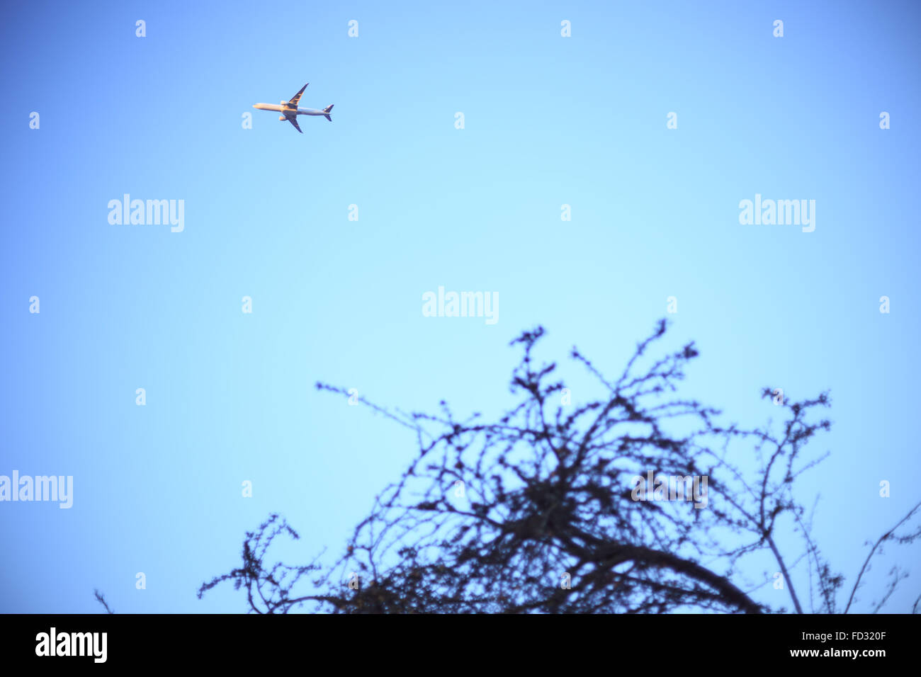 Flying passanger aircraft Stock Photo - Alamy