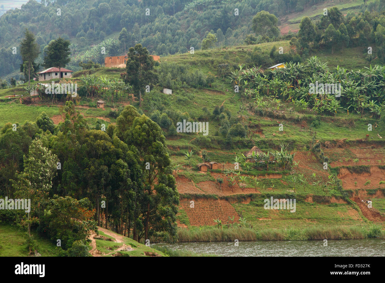 Hillside farming hi-res stock photography and images - Alamy