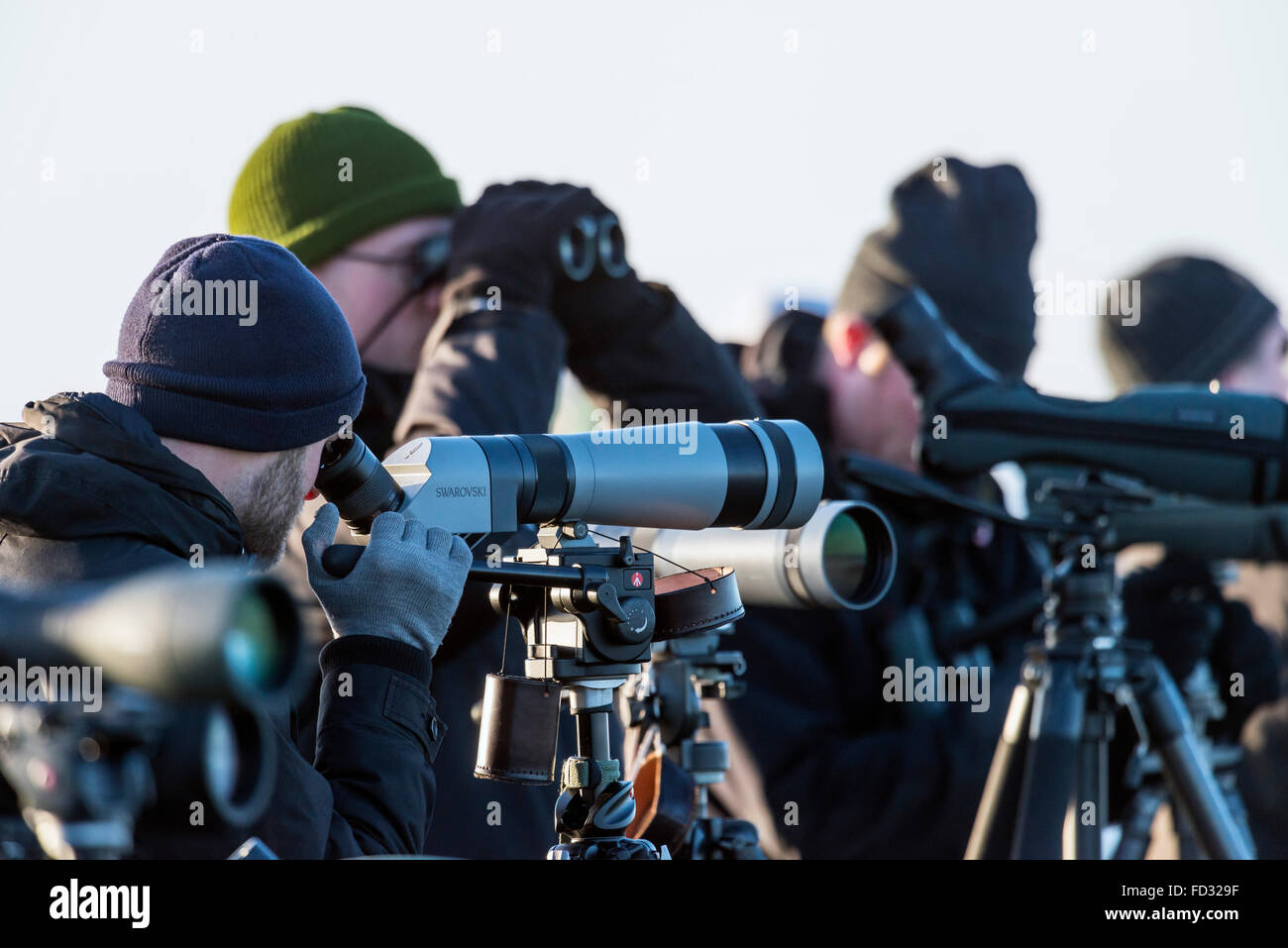 Ornithologists hi-res stock photography and images - Alamy