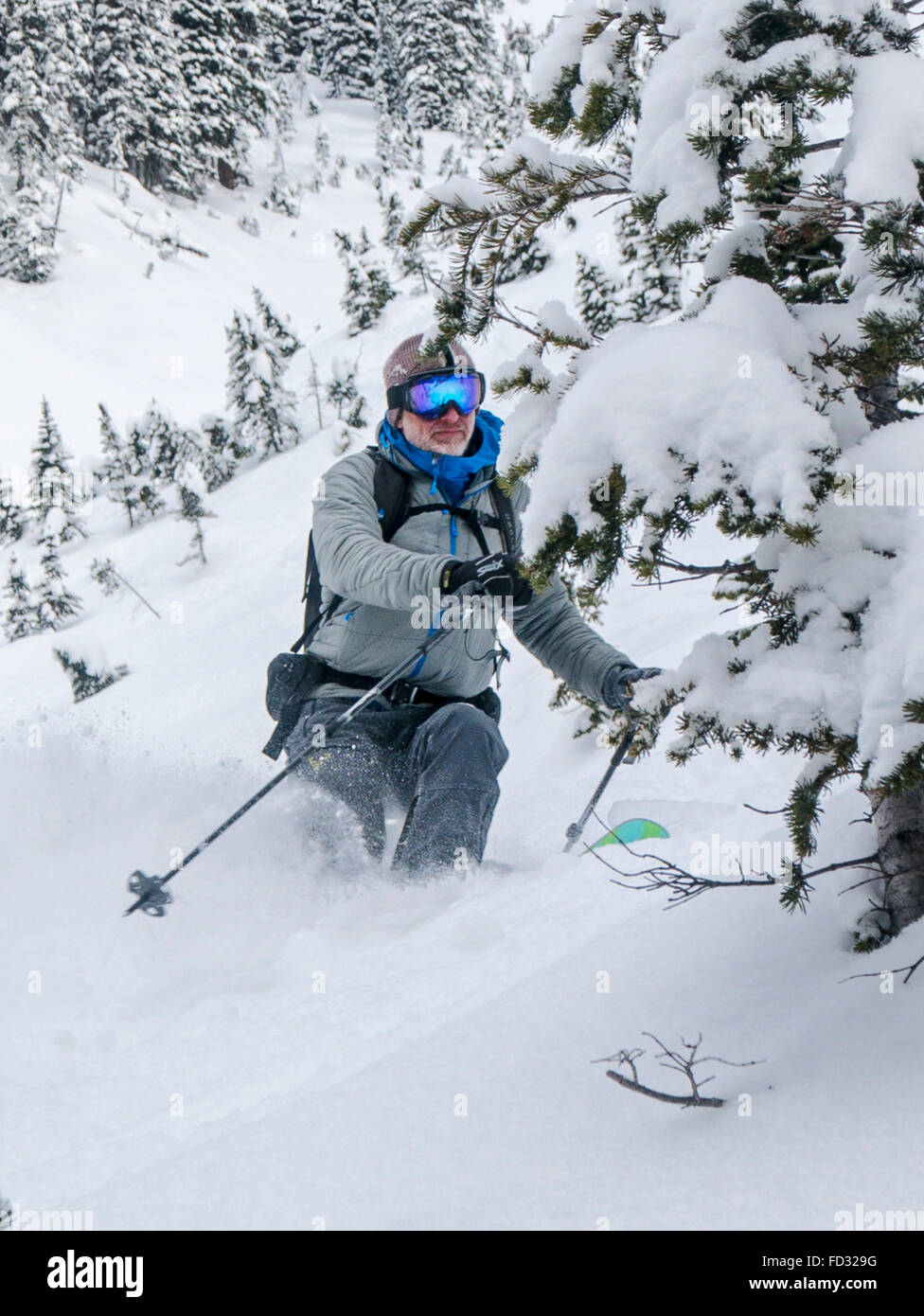 Back country skiers; Selkirk Mountains near remote Mount Carlyle Lodge ...