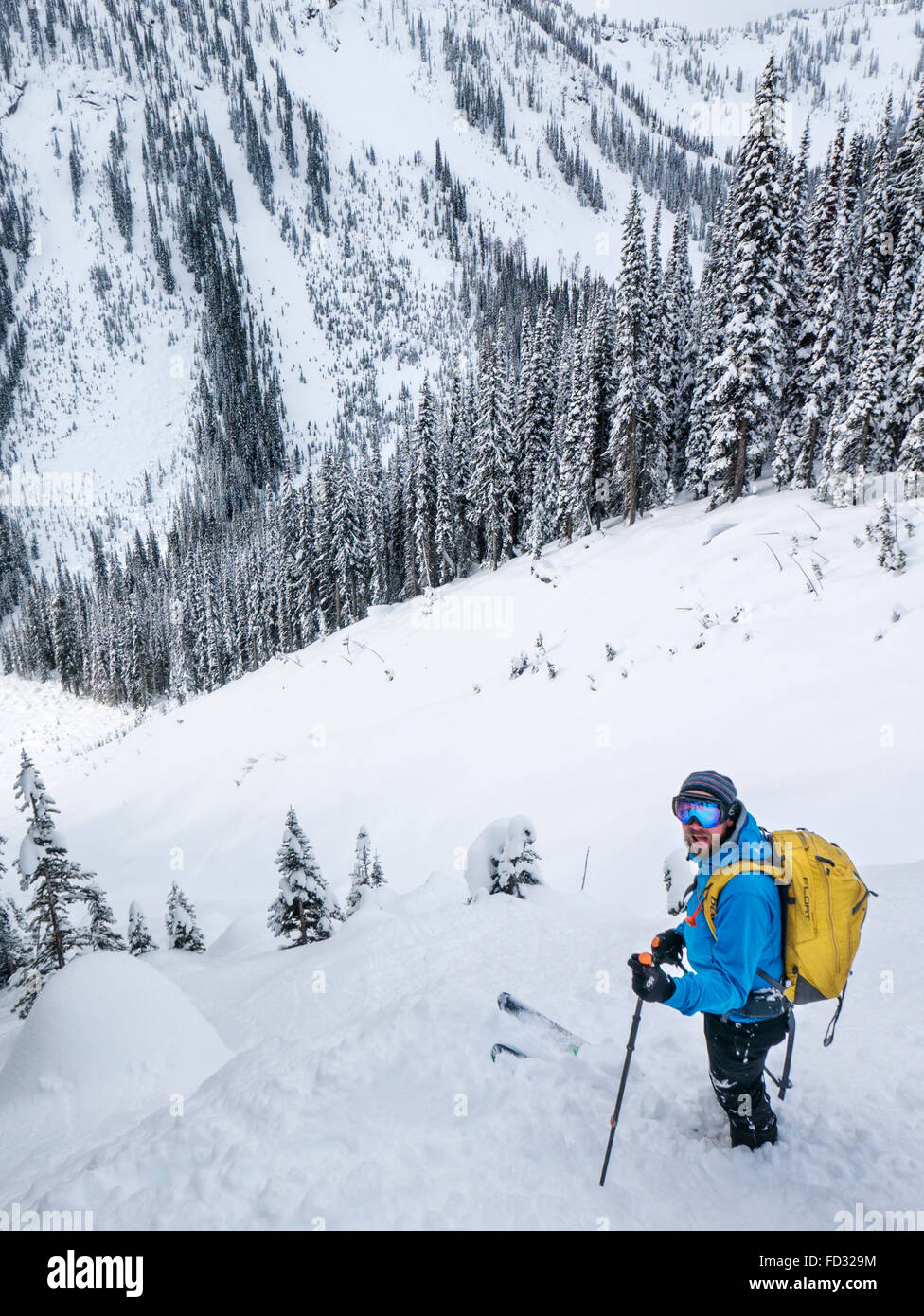 Back country skiers; Selkirk Mountains near remote Mount Carlyle Lodge ...