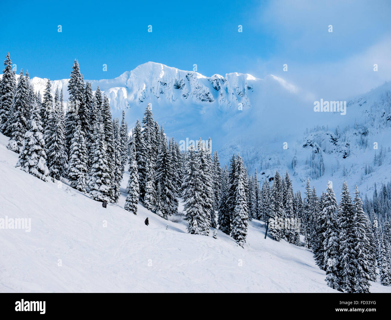 Winter view of Ymir Bowl & Whitewater Backcountry; Selkirk Mountains ...