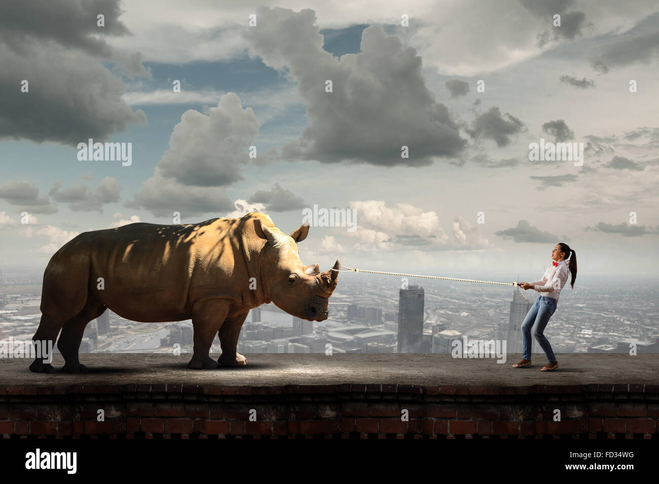 Young scared woman holding rhino on rope Stock Photo - Alamy