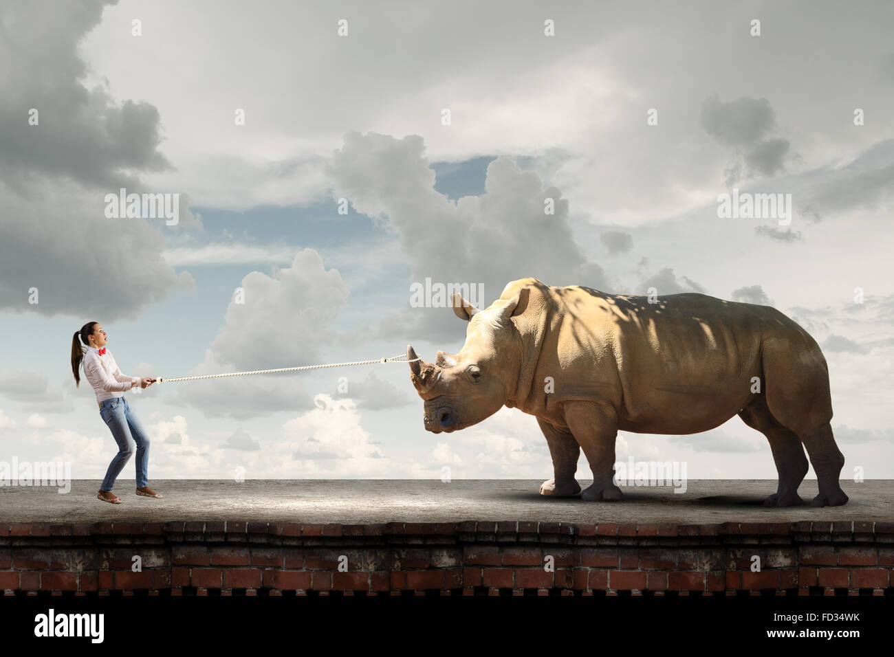 Young scared woman holding rhino on rope Stock Photo - Alamy