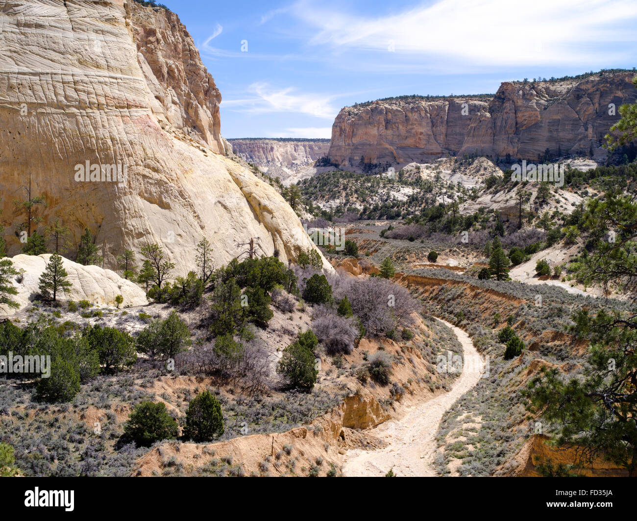 The cross-bedded sandstone walls of Lick Wash, Grand Staircase ...