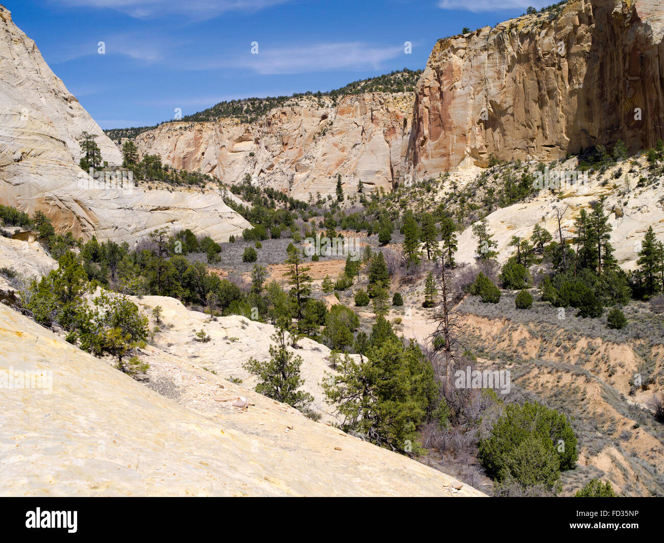 The cross-bedded sandstone walls of Lick Wash, Grand Staircase ...