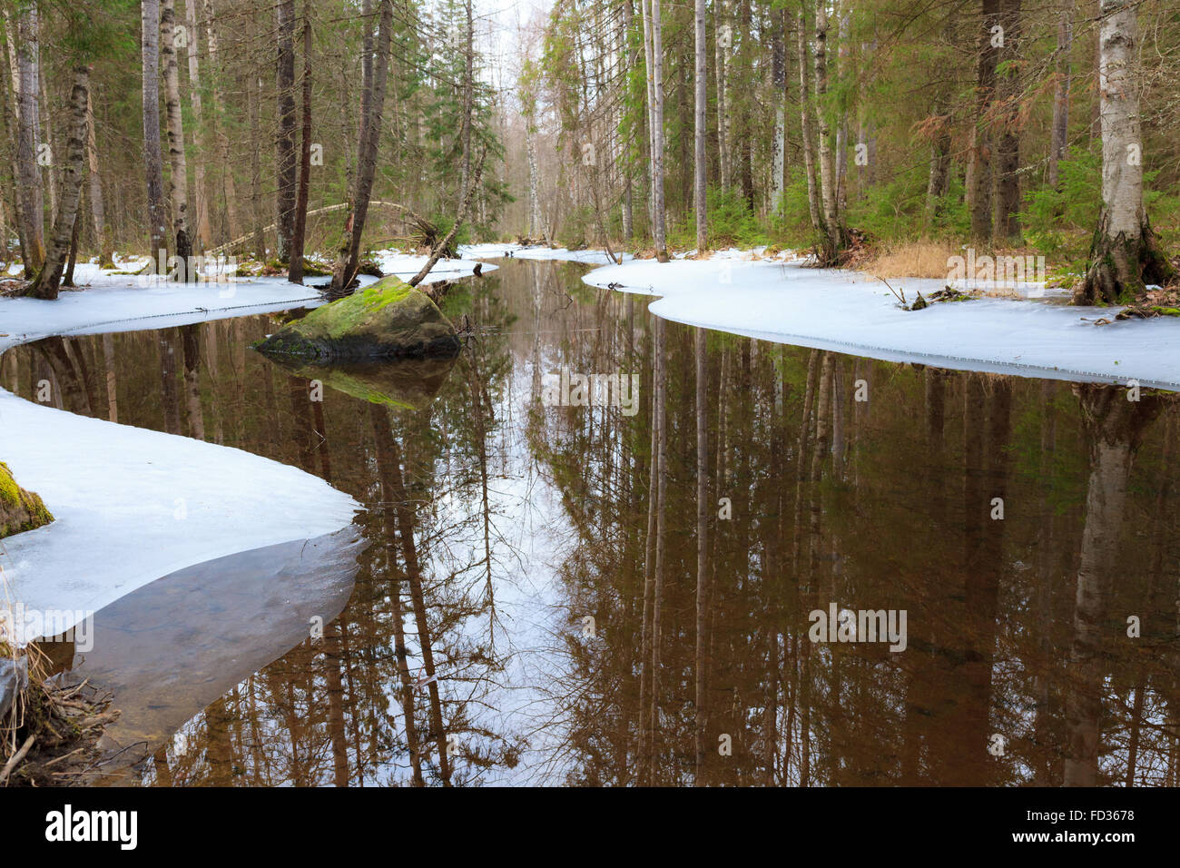 Partially frozen forest river Stock Photo - Alamy