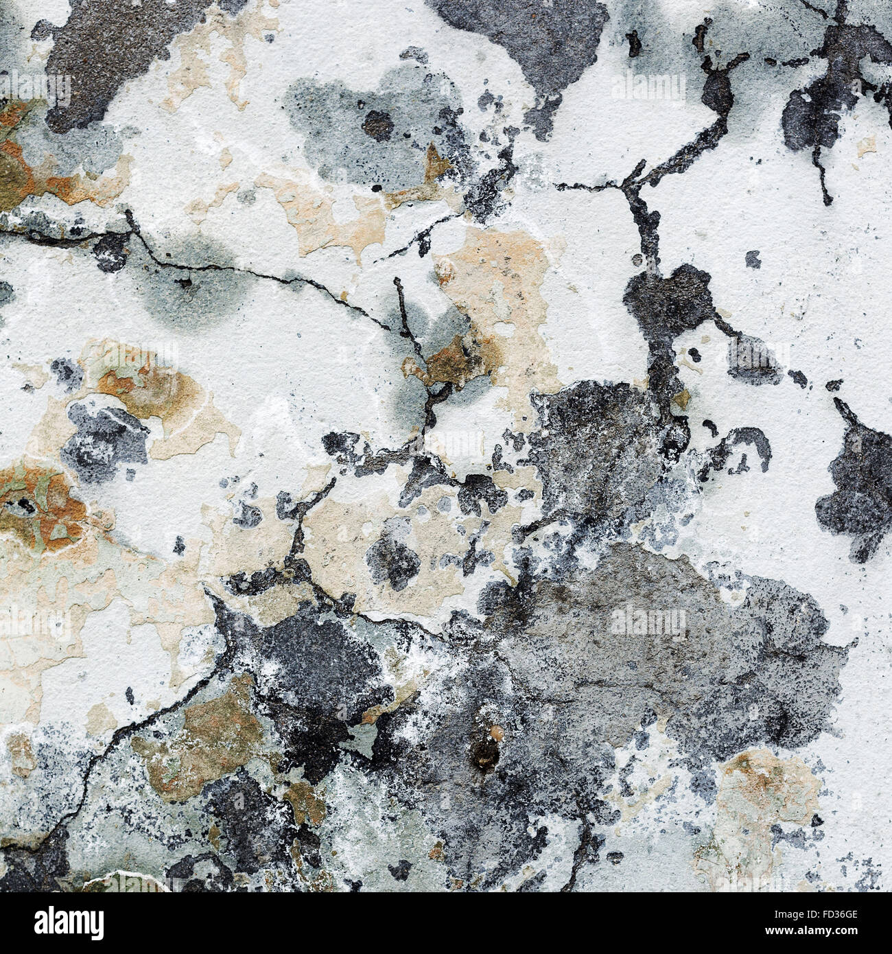 Dirty concrete wall with streaks of water, stains, cracks and scratches ...