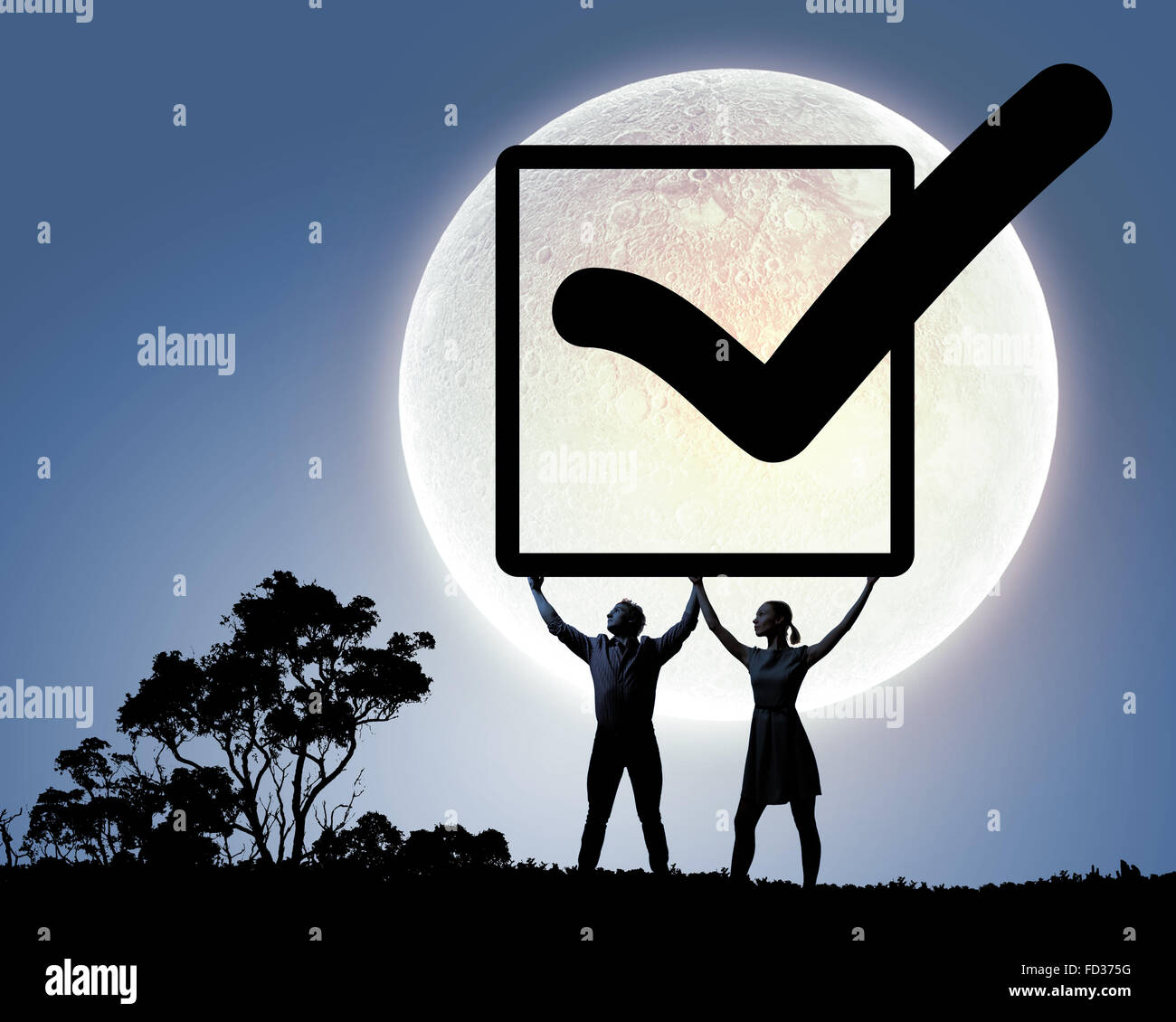 Silhouettes of young couple holding checkbox with tick Stock Photo - Alamy