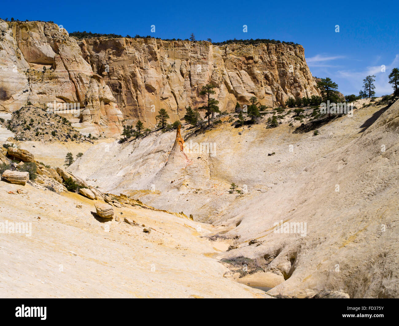 The cross-bedded sandstone walls of Lick Wash, Grand Staircase ...
