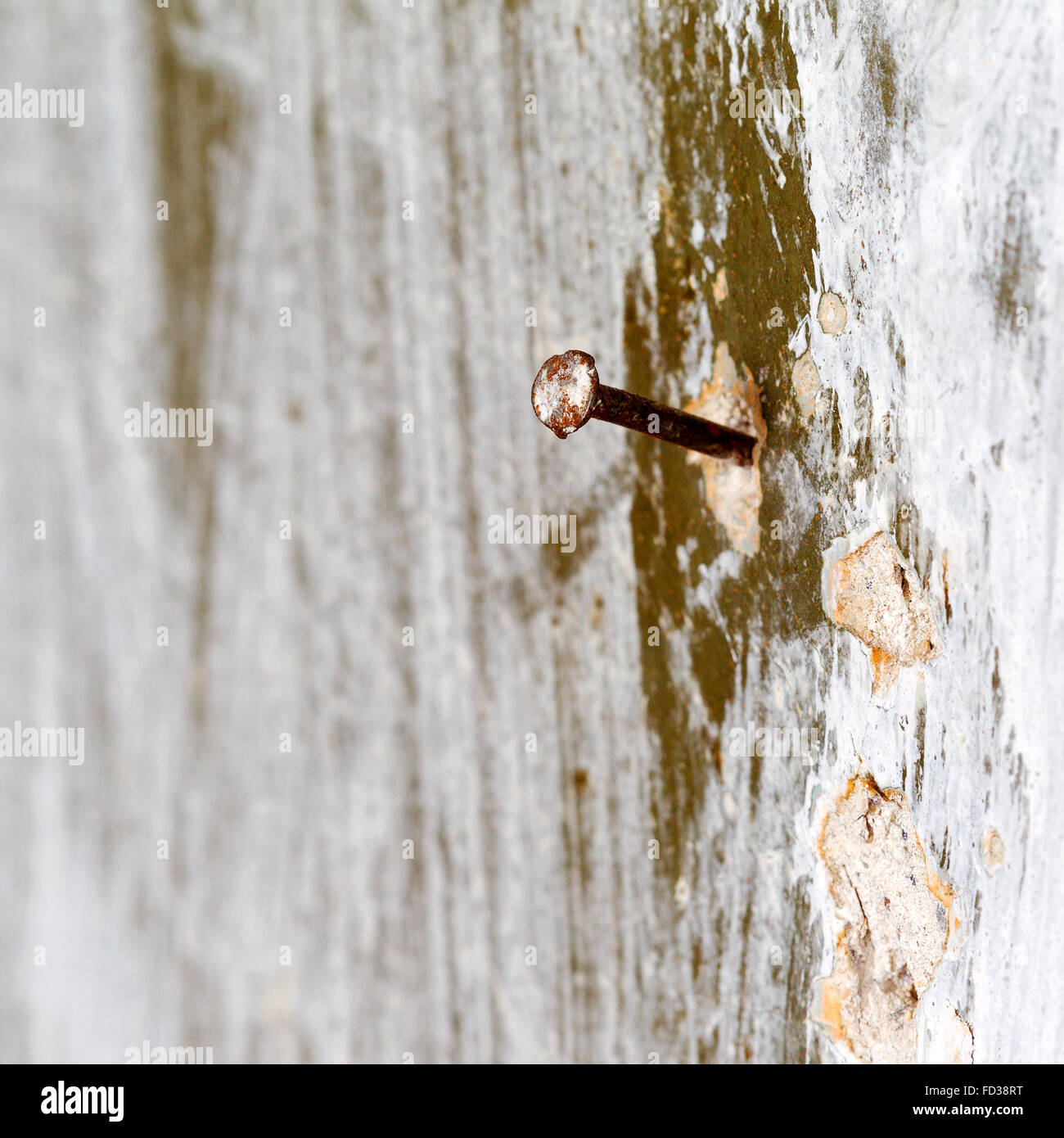 Iron Nail In Wall