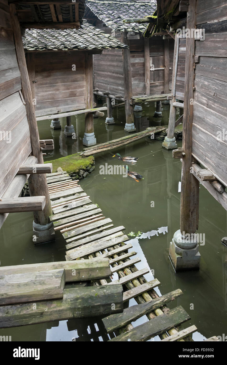Elevated rice storage sheds with ducks, Datang Village, Guizhou ...