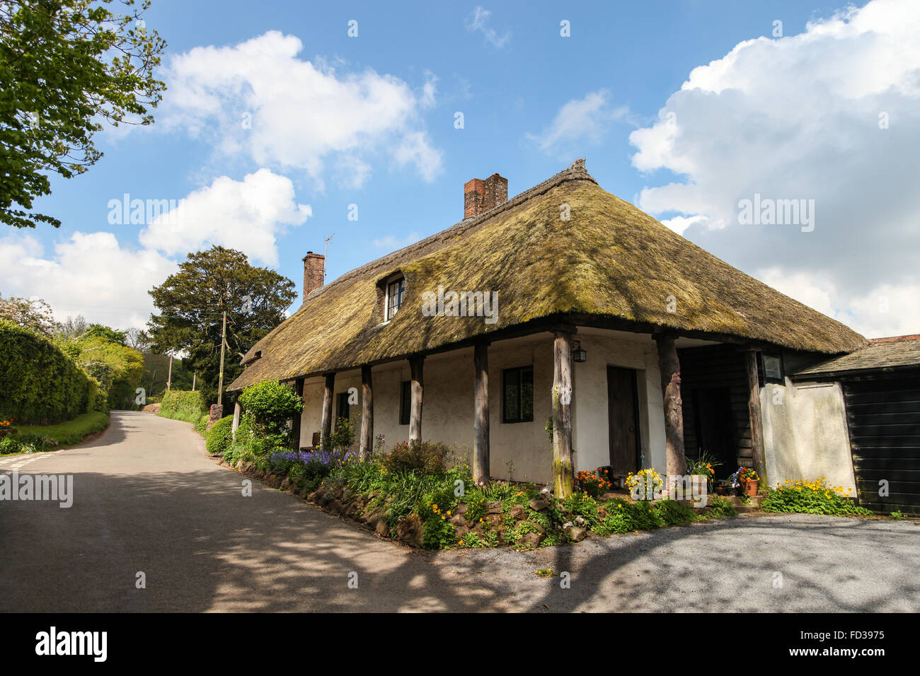 Dunchideock, Devon, UK, Traditional thatched cottage with timber posts ...