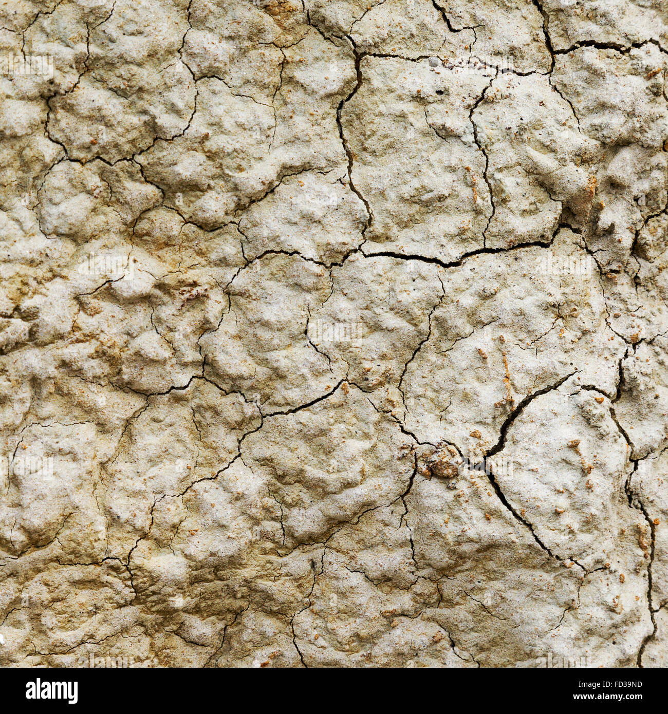 White clay hi-res stock photography and images - Alamy