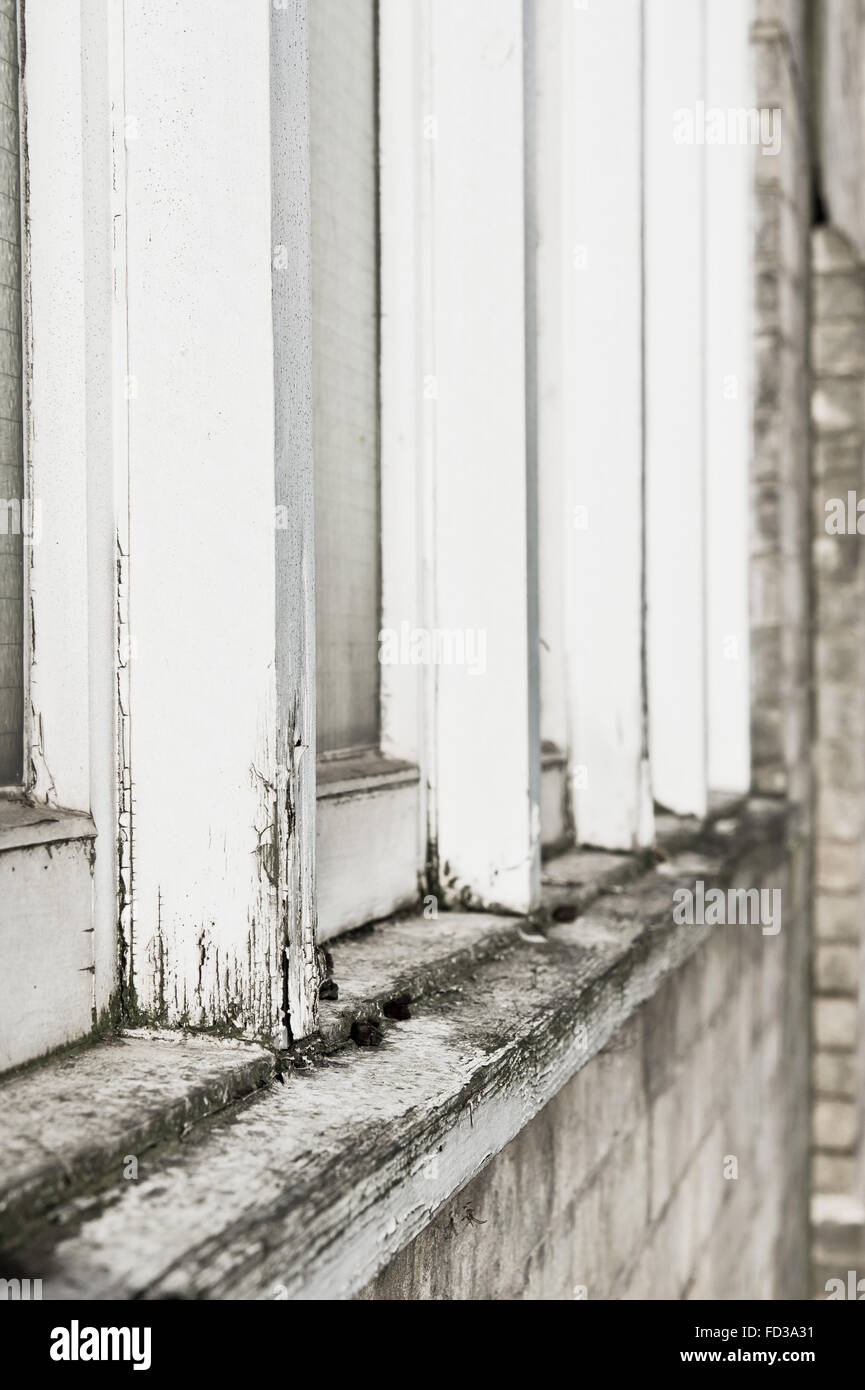 Part of an white painted window frame showing signs of rot and ...