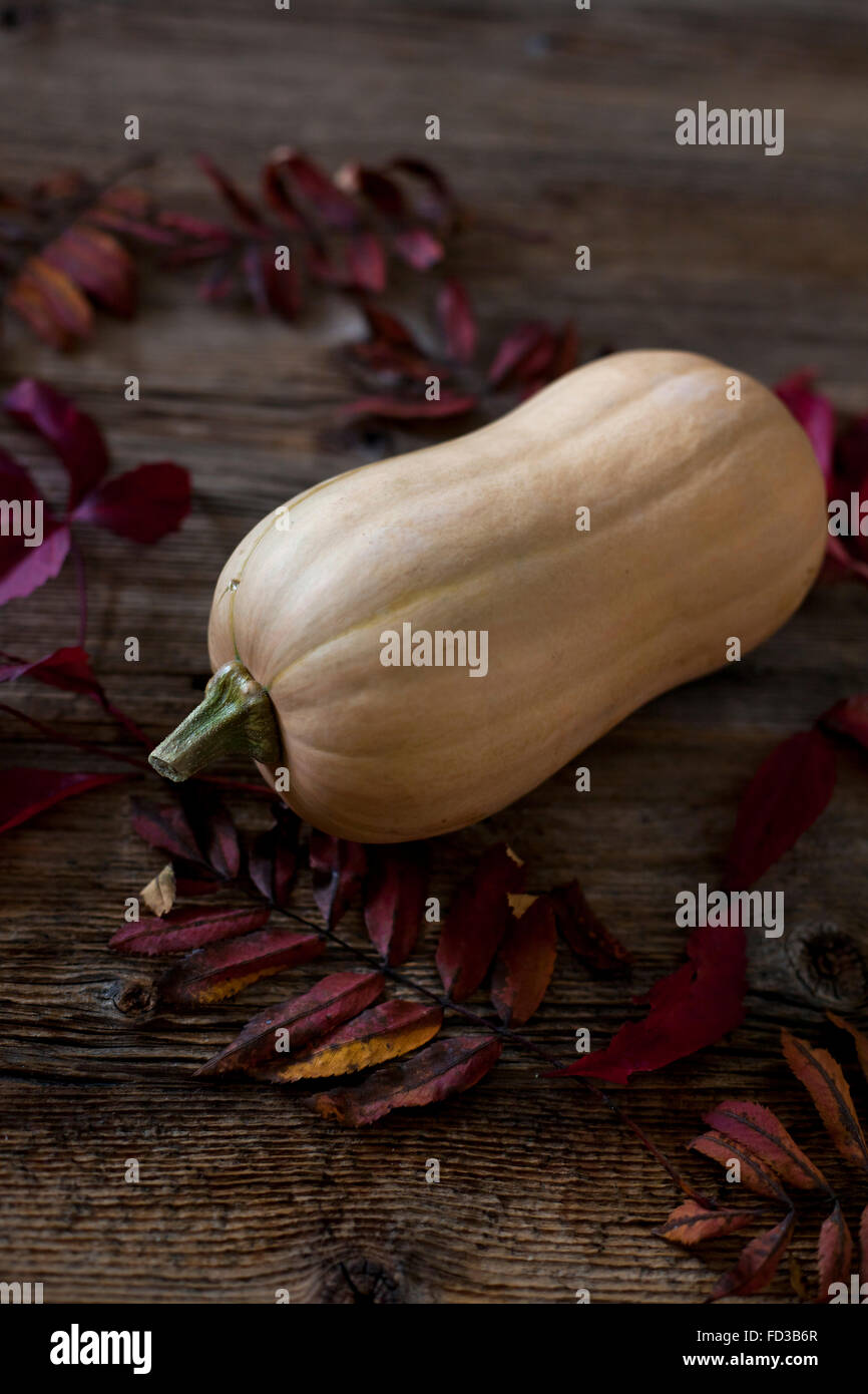 Butternut squash and Autumn leaves Stock Photo - Alamy