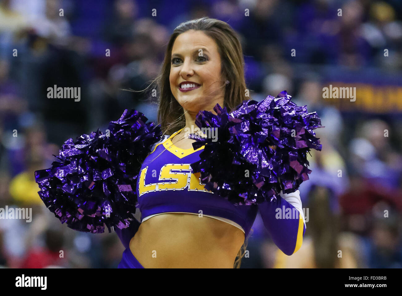Baton Rouge, LA, USA. 26th Jan, 2016. LSU Tigers Tiger Girl Heidey ...