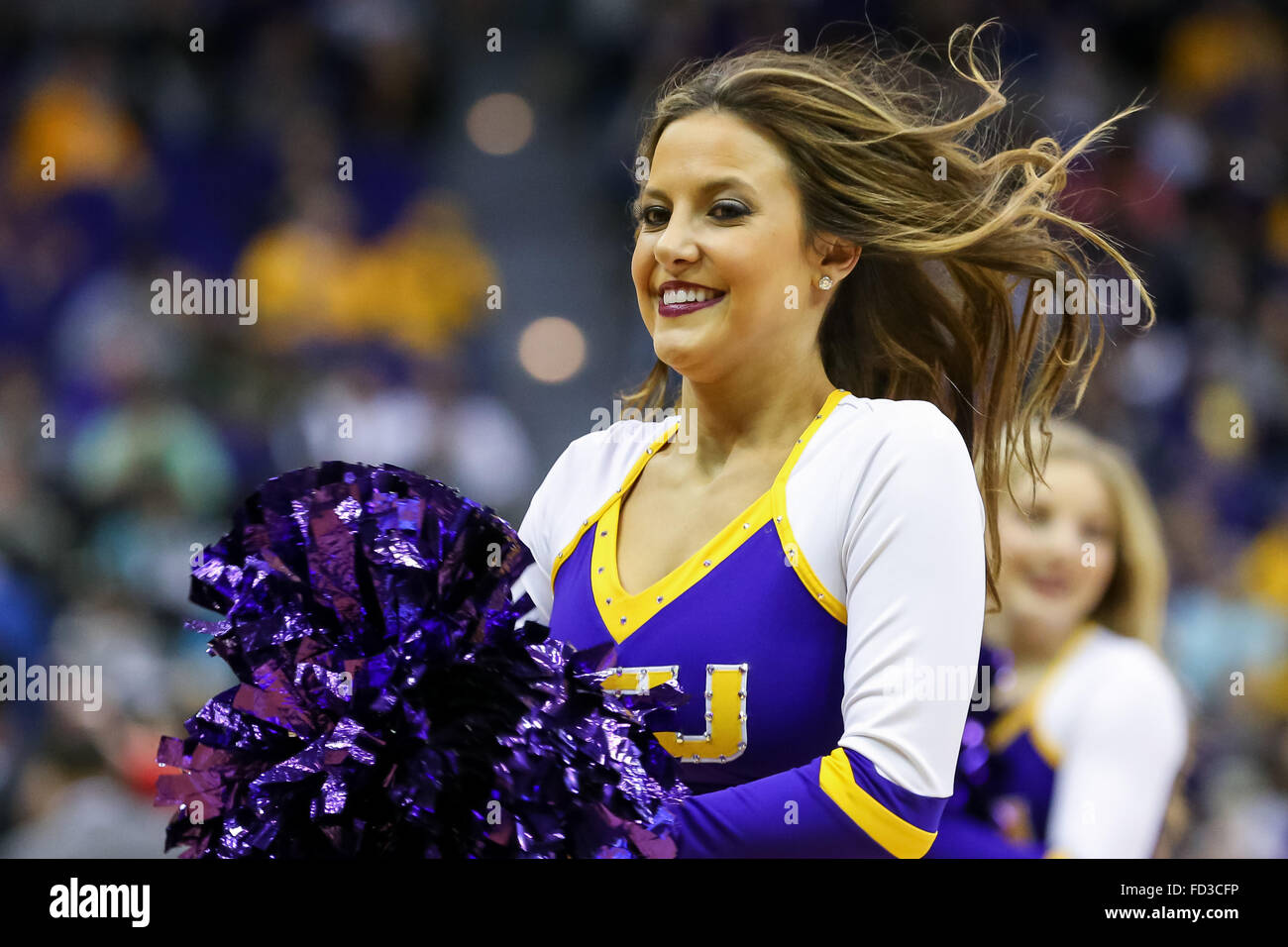 Baton Rouge, LA, USA. 26th Jan, 2016. LSU Tigers Tiger Girl Heidey ...