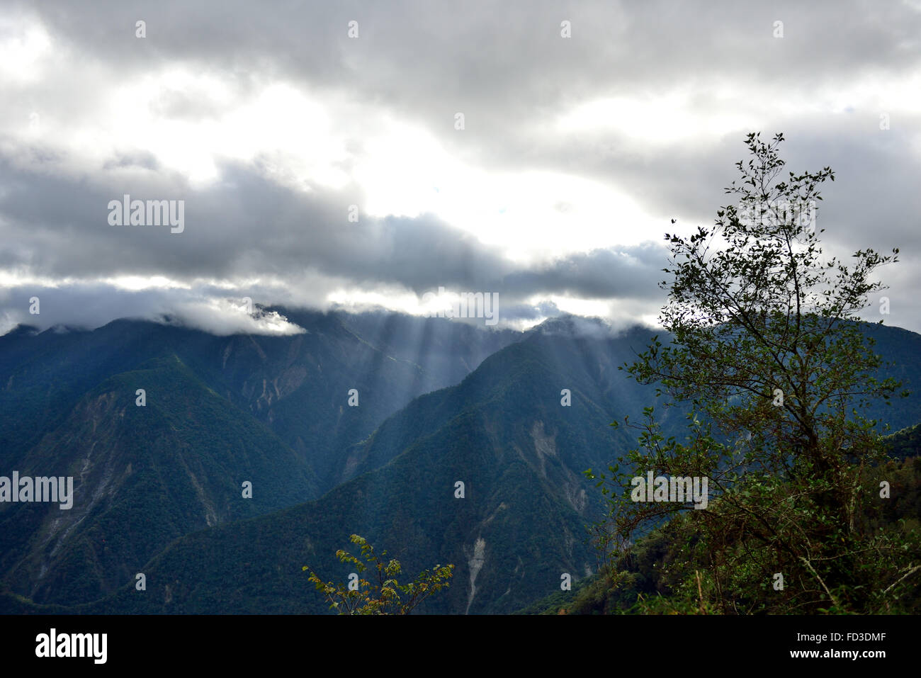 Sunglight hi-res stock photography and images - Alamy