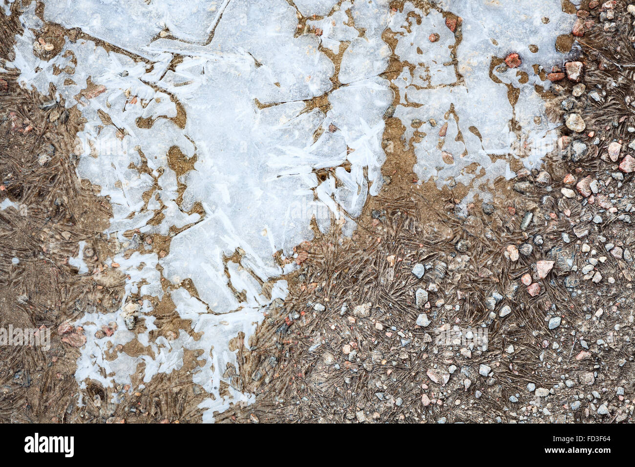 Frozen puddle and dirt road close-up Stock Photo - Alamy