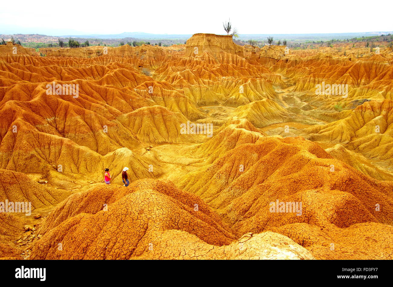 Tatacoa desert of Colombia Stock Photo - Alamy