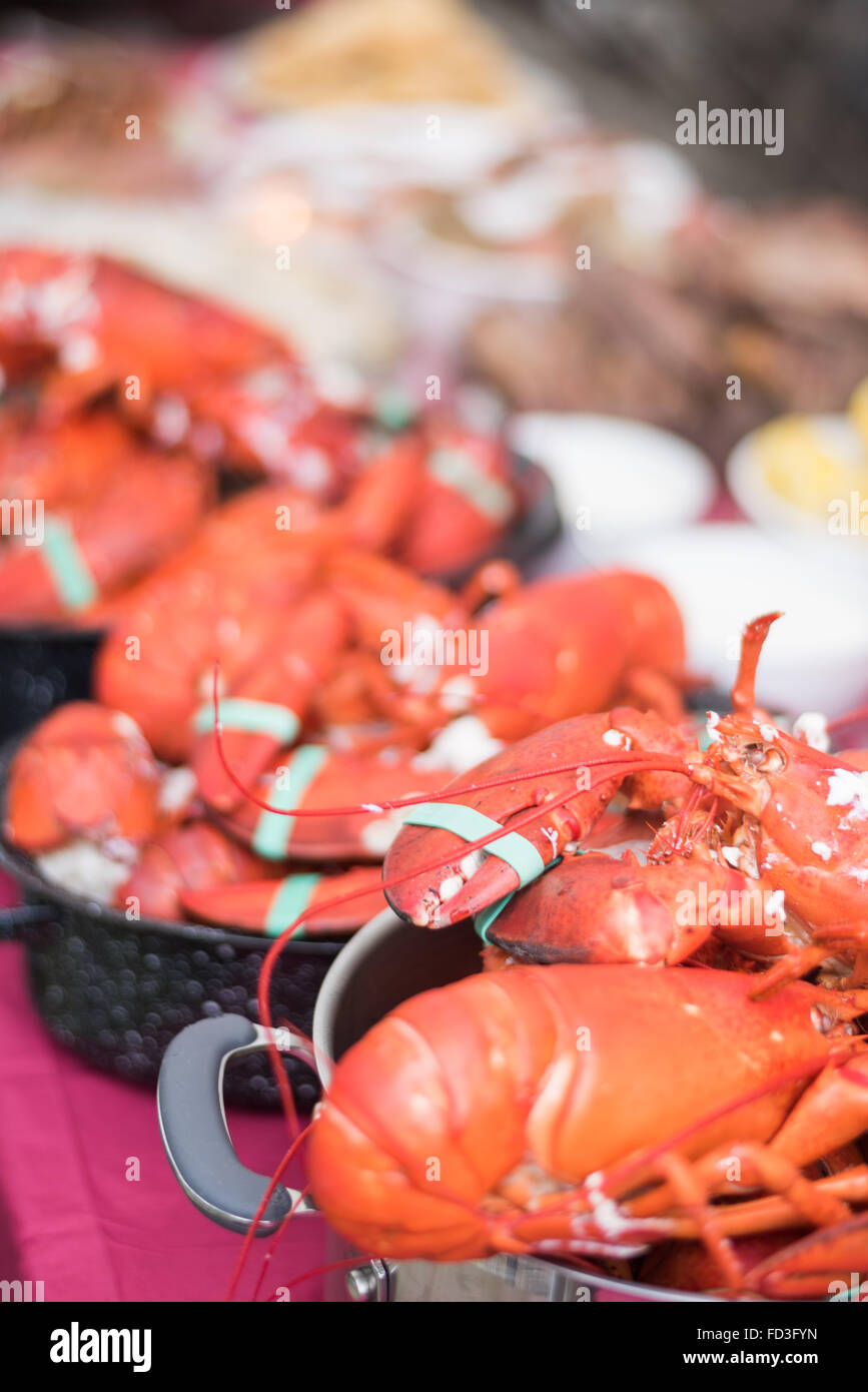 Cooked lobster in a pot ready for a wedding feast. More pots full of ...