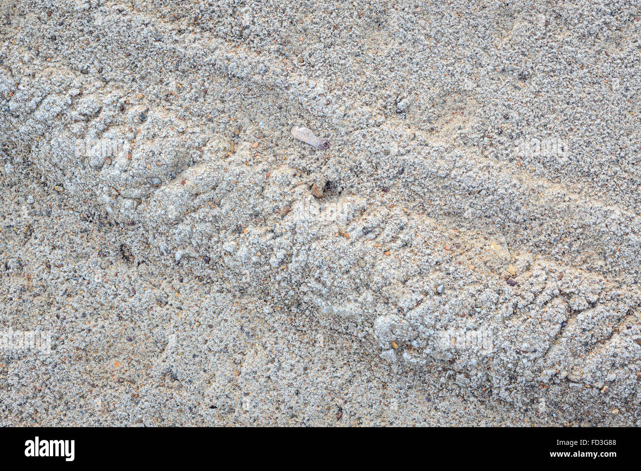 Frozen dirt road close-up Stock Photo - Alamy