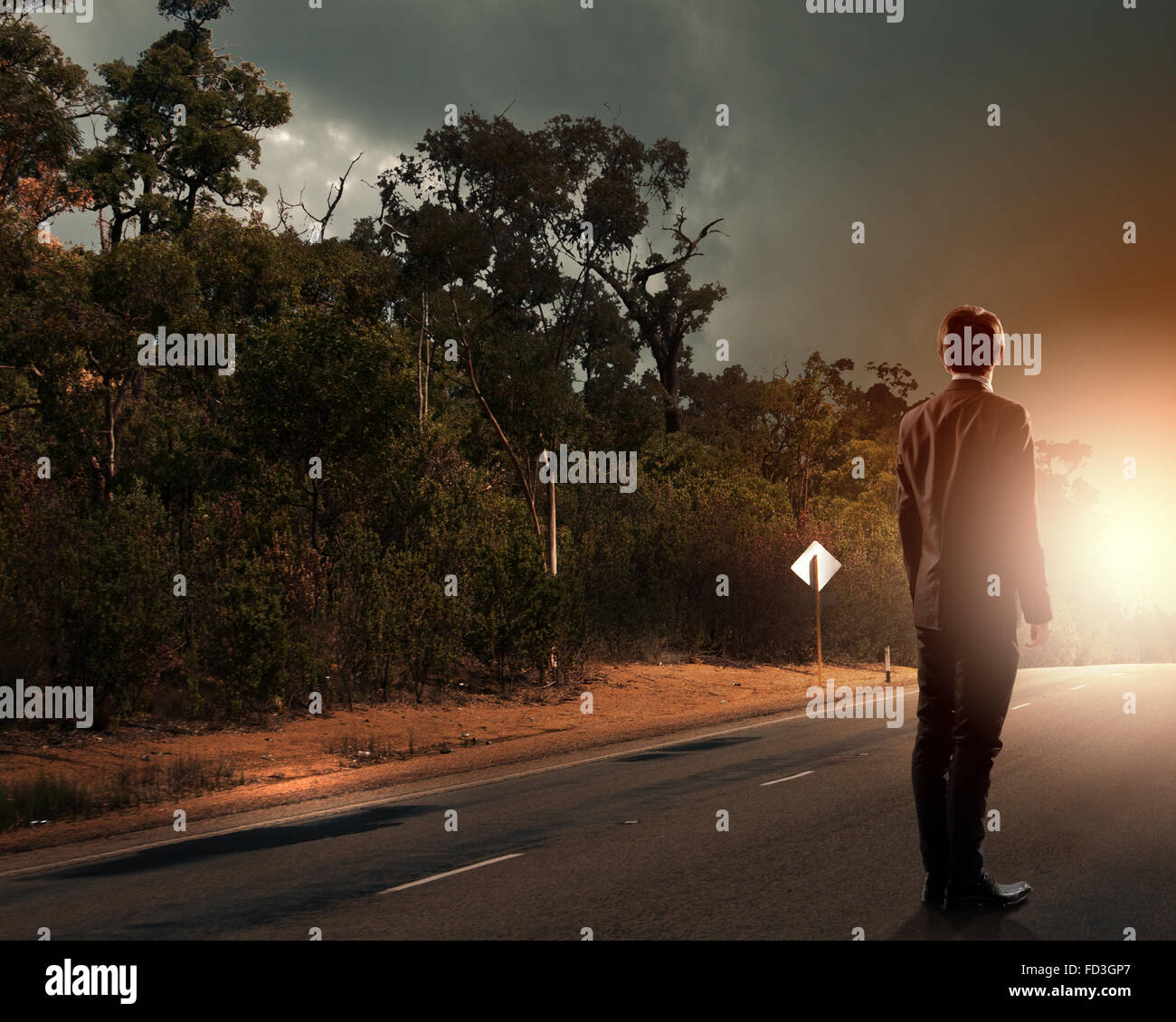 Back view of businessman standing on road and looking far away Stock ...