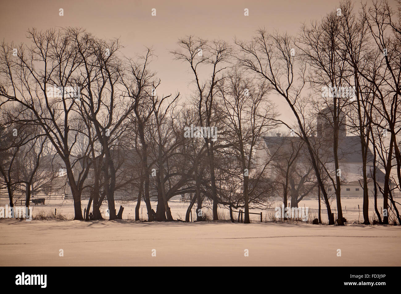 Farm country in Winter snow, Lancaster County, Pennsylvania, USA Stock ...