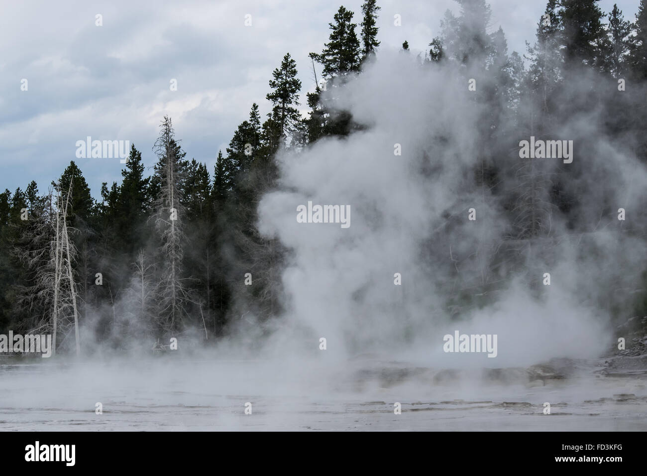 Geyser and steam hi-res stock photography and images - Alamy