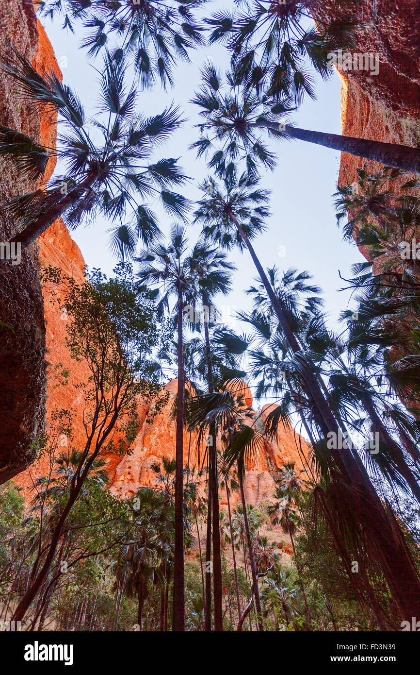 Beehive domes australia hi-res stock photography and images - Alamy