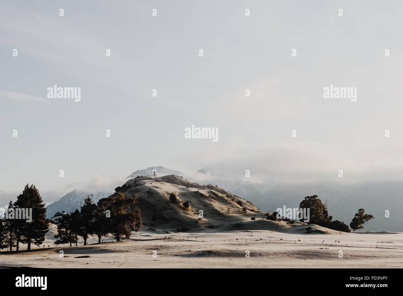 Crisp cold morning in the New Zealand country side with fog and hills ...