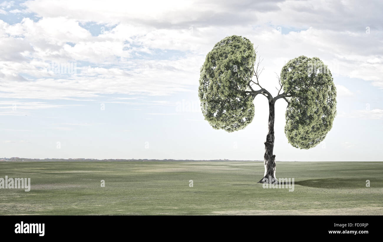 Conceptual image of green tree shaped like human lungs Stock Photo - Alamy
