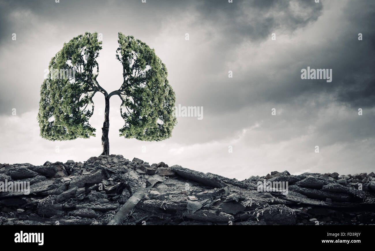 Conceptual image of green tree shaped like human lungs Stock Photo - Alamy