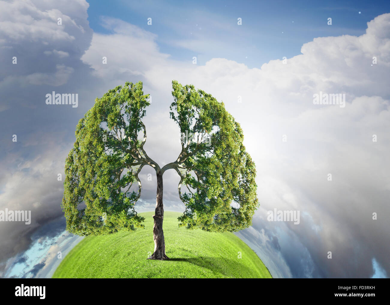 Conceptual image of green tree shaped like human lungs Stock Photo - Alamy