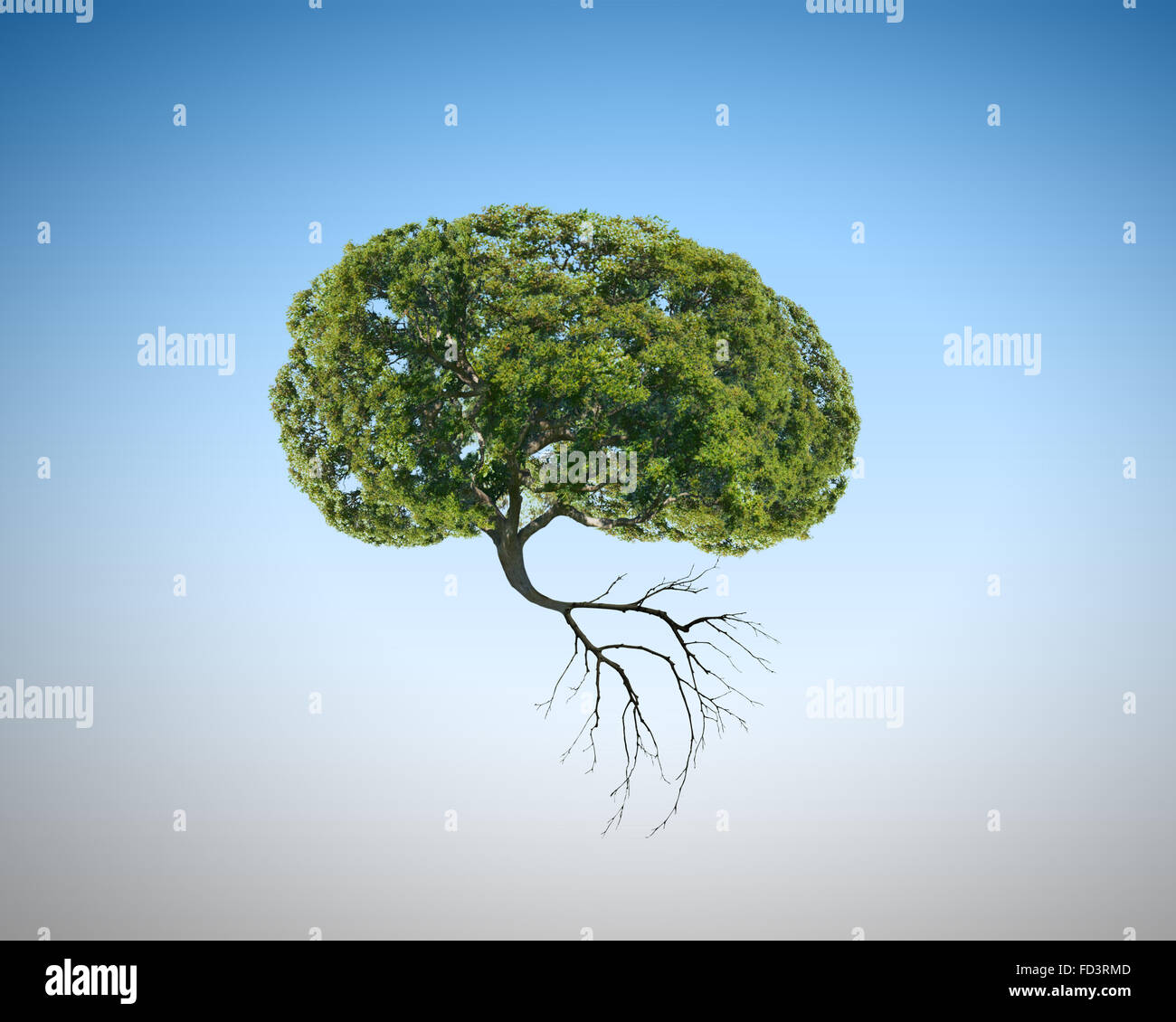 Conceptual image of green tree shaped like brain Stock Photo - Alamy