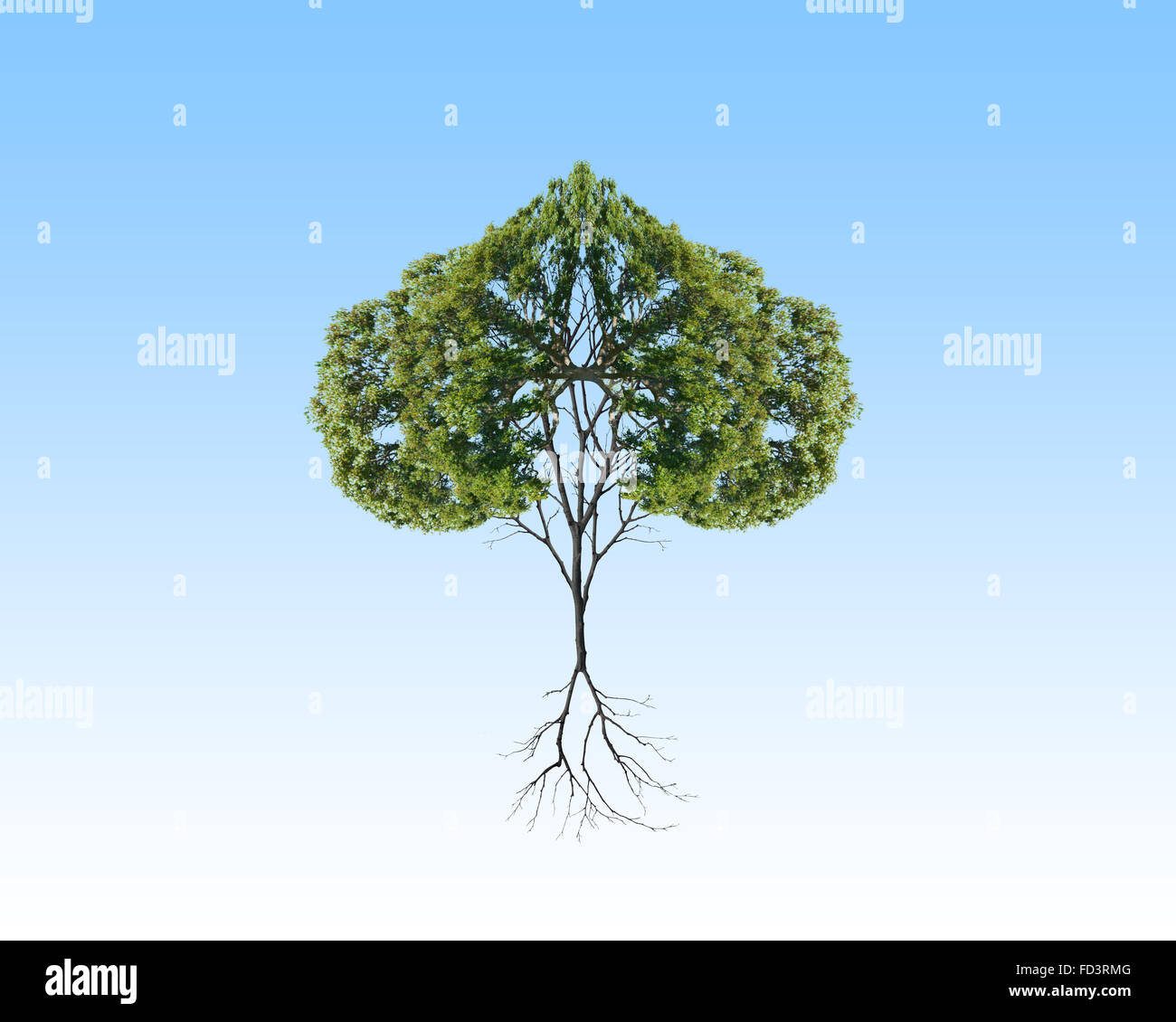Conceptual image green tree like hi-res stock photography and images ...