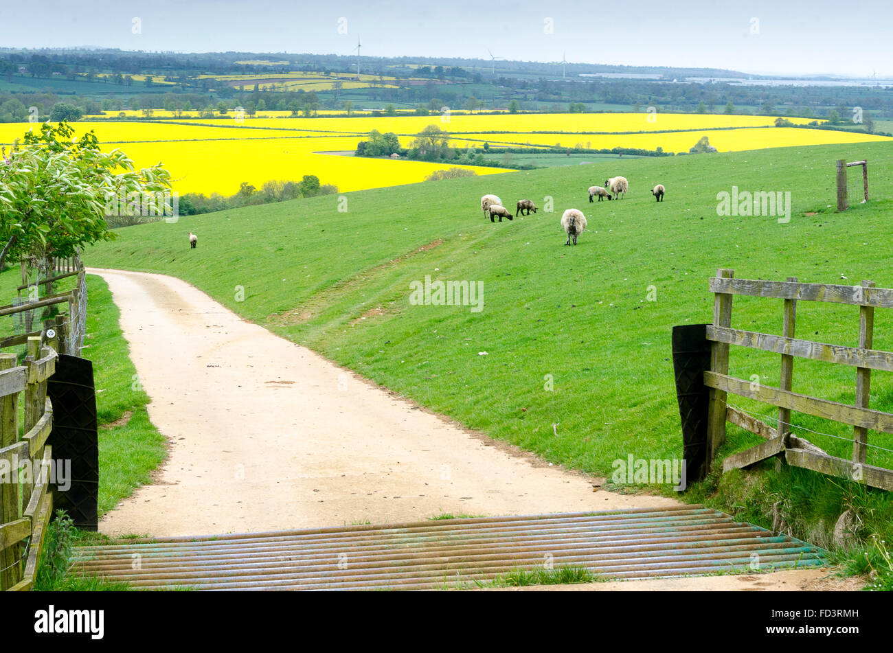 Jurassic Way walking track, near Honey Hill, Northamptonshire, England ...